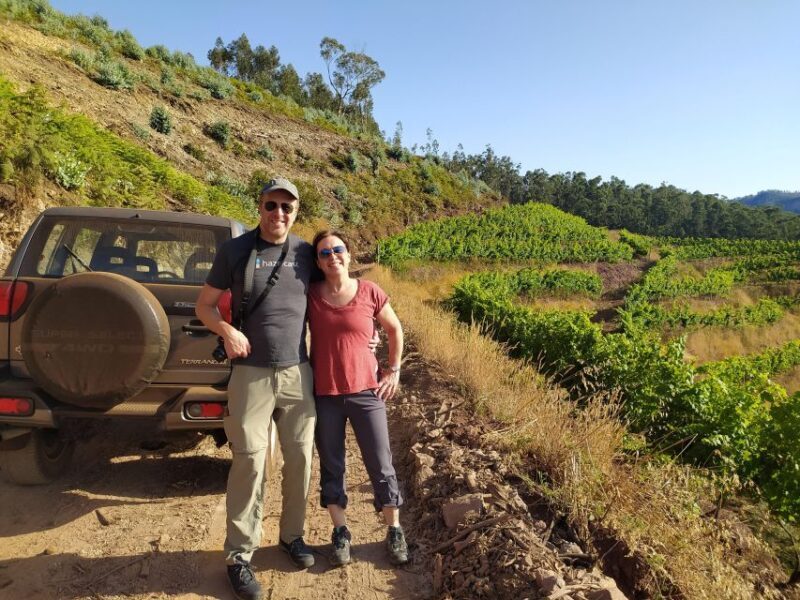 Private Half-Day Tour of Wine Fields - An Overview of the Experience: Why You’ll Love It