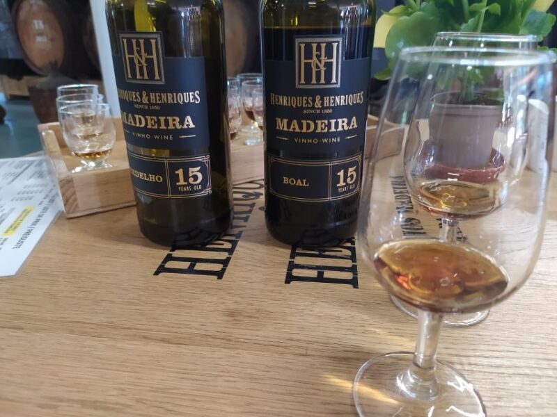 Private Half-Day Tour of Wine Fields - What to Expect: A Deep Dive into the Itinerary