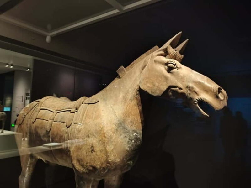 Private Half-Day Tour of Xi'an Terracotta Warriors - Key Points