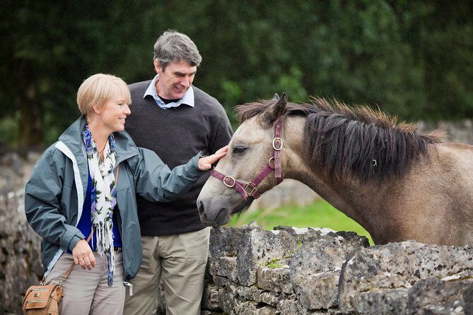 Private Half Day Tour To Connemara - A Closer Look at the Tour Experience