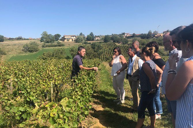 Private half-day tour to Golden Stone Beaujolais with tastings - Price and Value