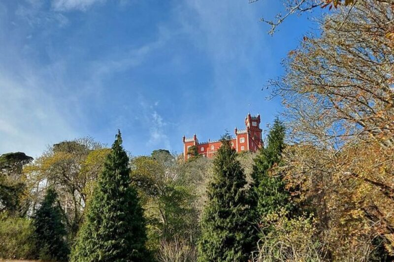 Private Half-Day Tour to Sintra - Transportation and Group Size