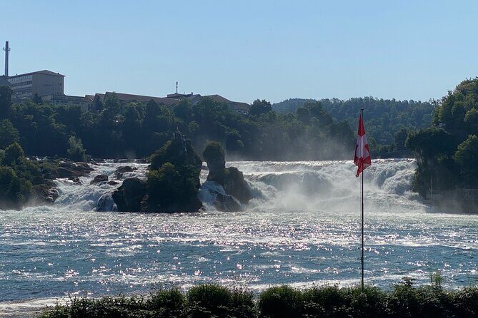 Private Half-Day Tour to the Rhine Falls with Pick-up at Hotel - The Limitations: Is It for Everyone?