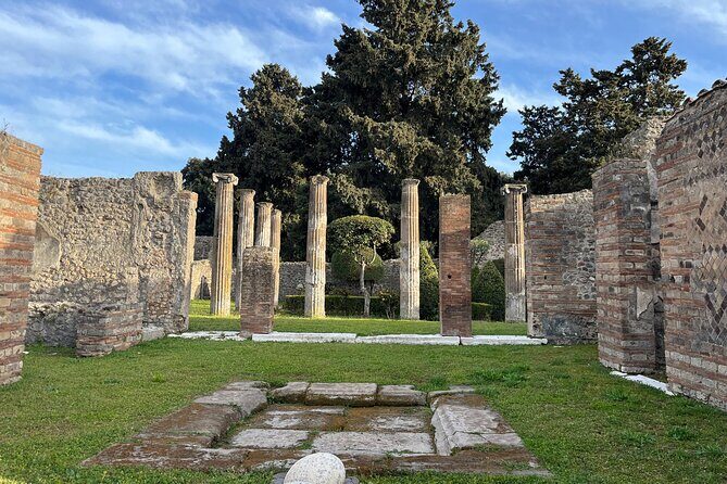 Private Half Day Tour to the Ruins of Pompeii - Key Points
