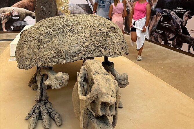 Private Half Day Tour to Tulum Ruins from Tulum - The Sum Up: Is This Tour Right for You?