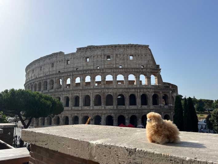 Private Half-day tour to Vatican - A Close Look at the Experience