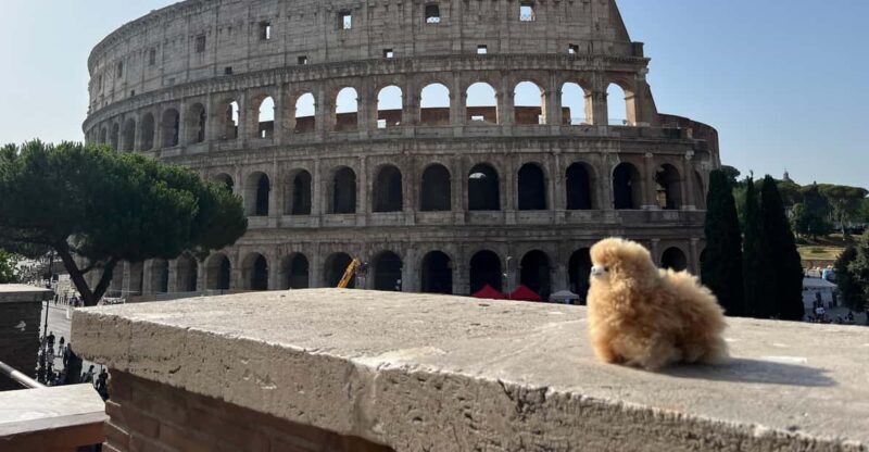 Private Half-day tour to Vatican - Analyzing the Cost: Is it Worth It?