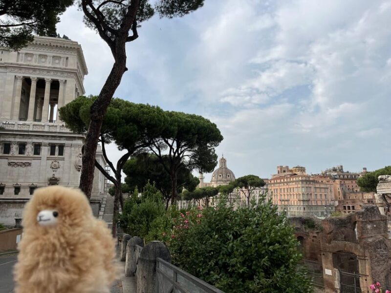 Private Half-day tour to Vatican - Final Thoughts