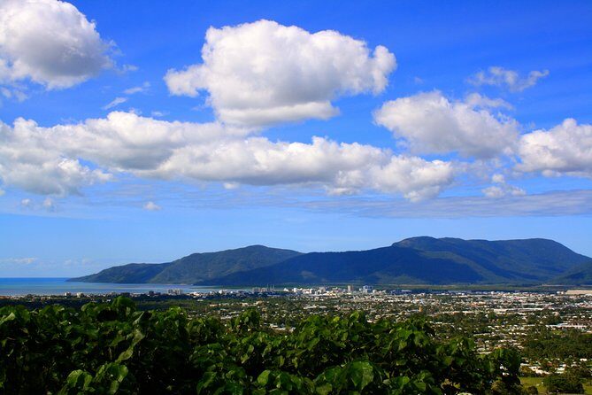 Private Half Day Tour: World Heritage Rainforest & Waterfall - Practical Details and What It Means for You