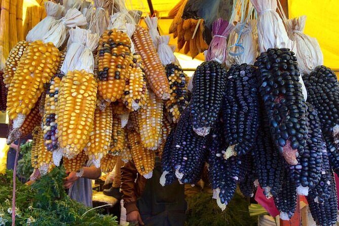 Private Half-Day Traditional Markets Street Food Tour in Mexico City - The Sum Up