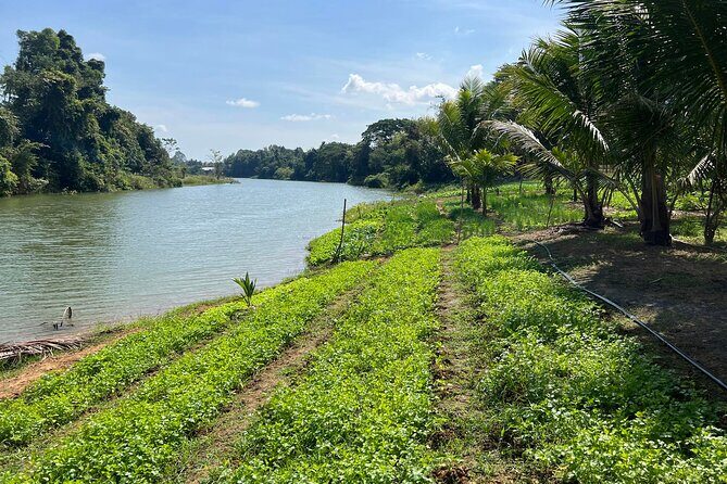 Private Half-Day Tuk Tuk Tour in Battambang - An In-Depth Look at What Youll Experience
