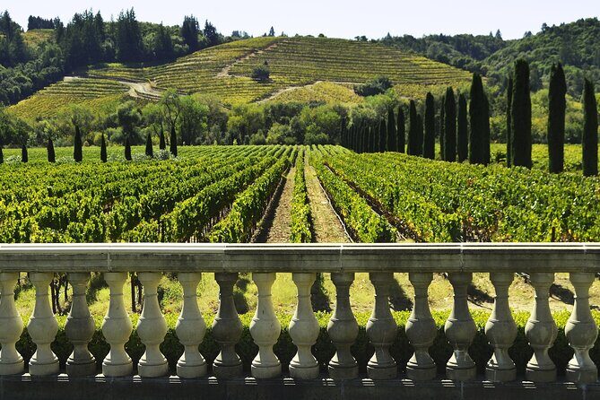 Private Half Day Txakoli Wine Tour & Getaria Fishing Village - Discovering the Charm of the Basque Coast: Private Half Day Txakoli Wine Tour & Getaria Fishing Village