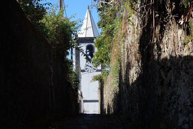 Private Half-Day Walking Tour of Horta Experience - Why This Tour Offers Real Value
