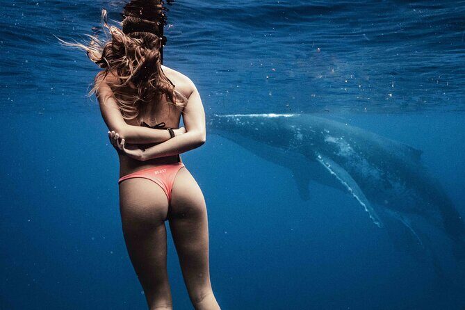 Private Half Day Whale Watching Tour - What to Expect During Your Trip