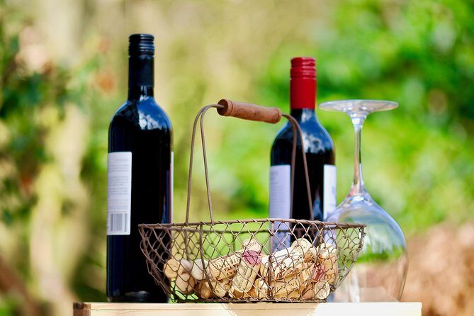 Private Half Day Wine Tasting tour: Road Of The Doges - Key Points