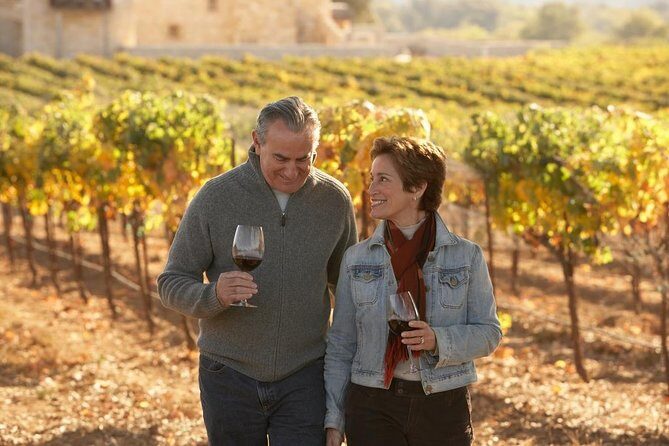 Private Half Day Wine Tasting tour: Road Of The Doges - The Drawbacks and Considerations