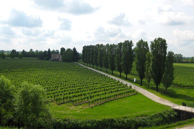 Private Half Day Wine Tasting tour: Road Of The Doges - Who Will Love This Tour?