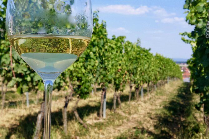 Private Half Day Wine Tasting tour: Road Of The Doges - FAQs