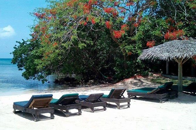 Private Half Moon Beach Tour from Montego Bay - An inviting introduction to Jamaica’s west coast