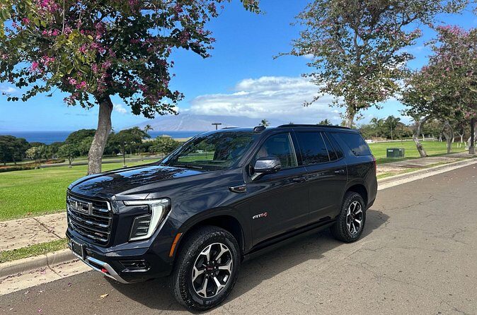 Private Half Way to Hana Tour with Local Guide - The Value in This Experience