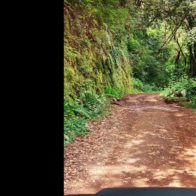 Private halfday & Eucalyptus forest Offroad - What to Expect on Your Madeira Offroad Tour
