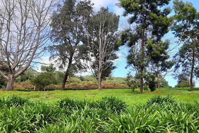 Private Halfday Flower Palheiro Gardens Tour - Who Should Book This Tour?