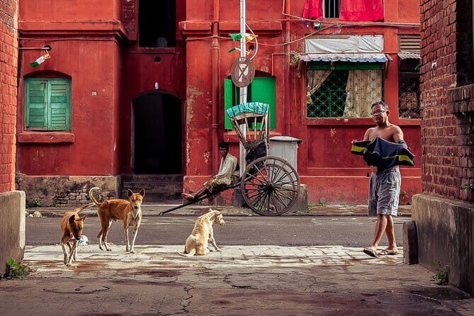 Private Halfday Kolkata Guided City Tour - The Sum Up