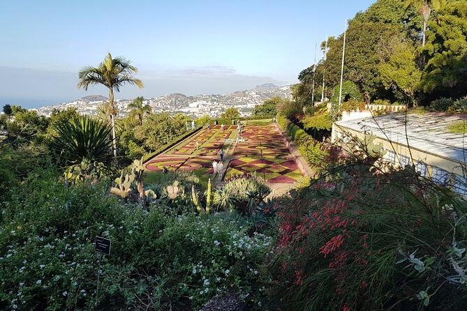 Private Halfday Madeira Garden Tour - An In-Depth Look at the Madeira Garden Tour