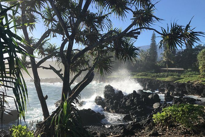 Private Halfway to Hana Tour - Discovering Maui’s Scenic Highlights with Ease