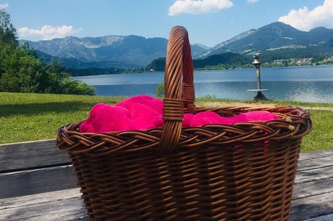 Private Hallstatt Round Day Trip and Picnic in Alps from Prague - What Makes This Tour Stand Out?