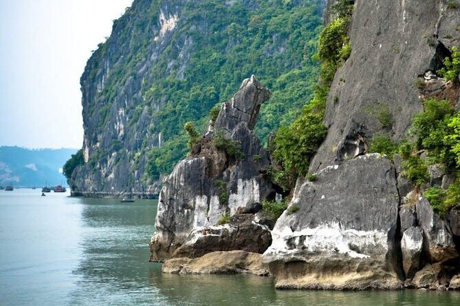 Private Halong Bay Day Tour: Transfer, Lunch, Guide, Entrance Fee - The Sum Up