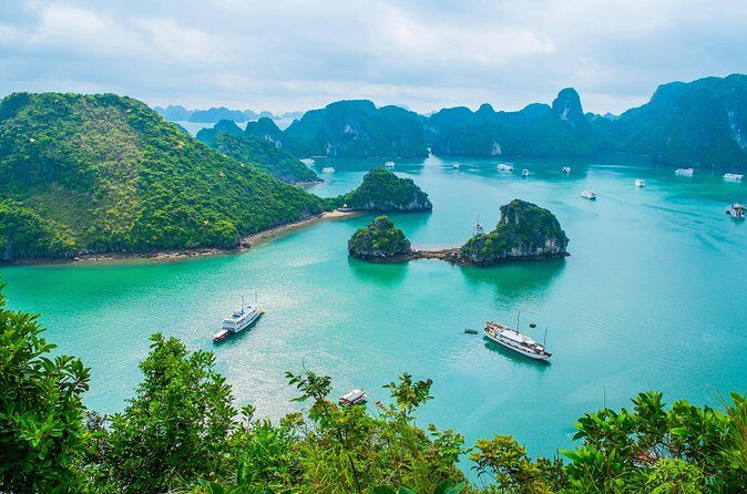 Private Halong Bay Sailing Cruise from Hanoi - Authentic Insights from Reviews