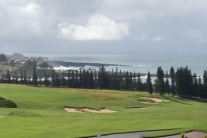 Private Hana, Ocean, Turtle Town, Winery Tour of Maui - A Day in the Life: How the Tour Might Unfold