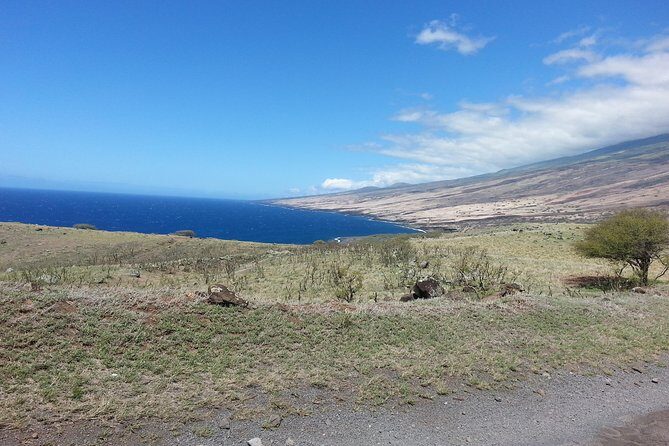 Private Hana, Ocean, Turtle Town, Winery Tour of Maui - Who Will Love This Experience?