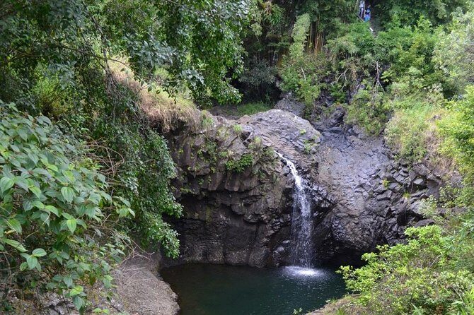 Private Hana Waterfalls Tour - An In-Depth Look at the Hana Waterfalls Private Tour