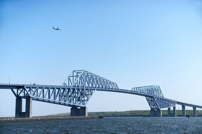 Private Haneda Airport (HND) to Central Tokyo City Transfer - Who Should Book This Transfer?