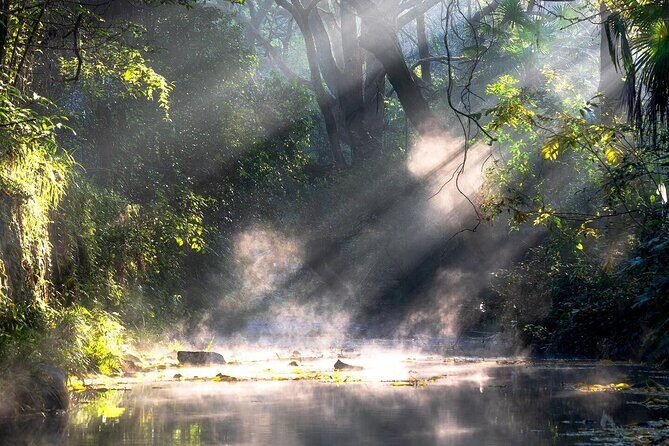 Private Hangzhou Car and Walking Tour - Key Points