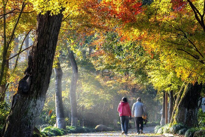 Private Hangzhou Car and Walking Tour - Who Would Love This Tour?