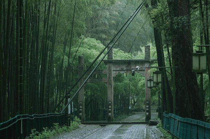 Private Hangzhou Car and Walking Tour - Final Thoughts