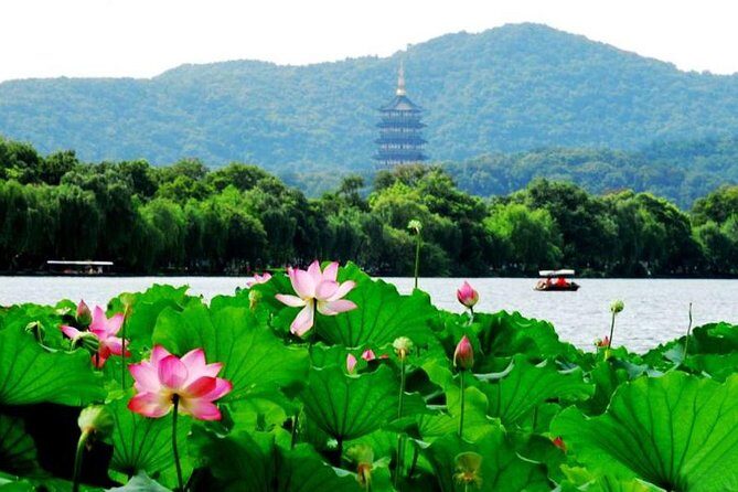 Private Hangzhou Day Tour from Shanghai by Bullet Train - An In-Depth Look at the Tour Experience