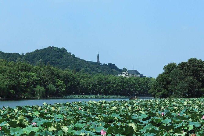 Private Hangzhou Day Tour: Meijiawu Tea Village And West Lake From Shanghai - A Detailed Look at the Tour Experience