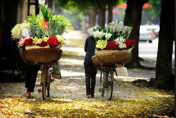 Private Hanoi City Shore Excursion from any Cruise Ports - Why This Tour Is Perfect for You