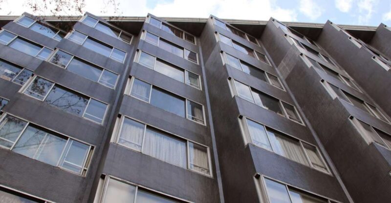 Private Harajuku Omotesando Architecture Tour - Value for the Price