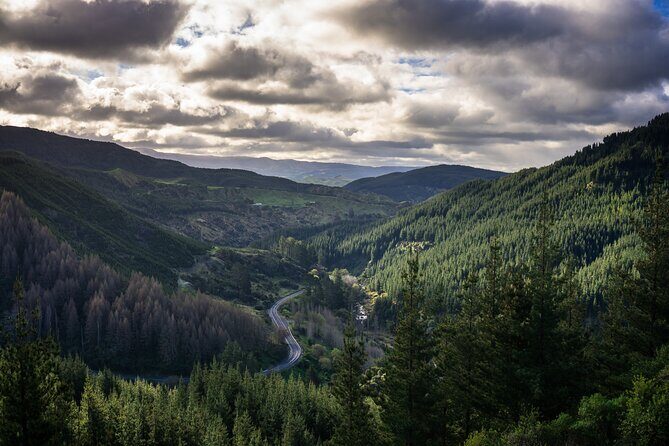 Private Hawkes Bay Geothermal Hot Pools Hike - The Itinerary Deep Dive: What to Expect at Each Step