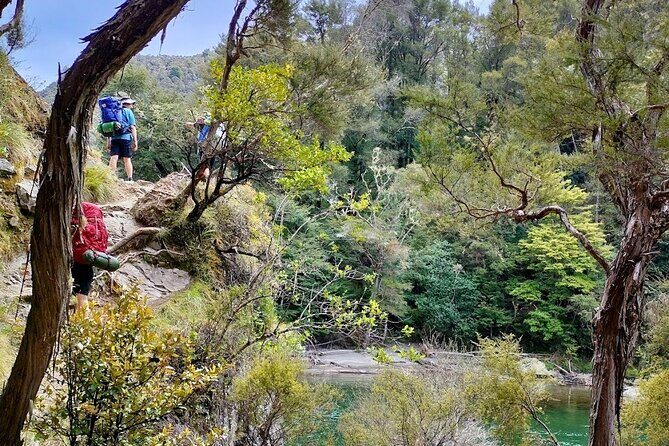 Private Hawkes Bay Geothermal Hot Pools Hike - A Final Word: Who Should Consider It?