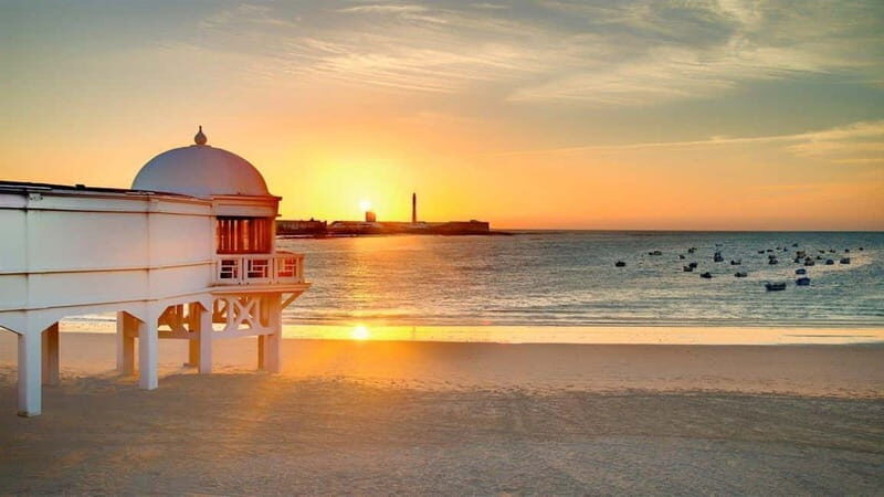 Private Healthy Food Experience and Walking Tour in Cadiz - Key Points