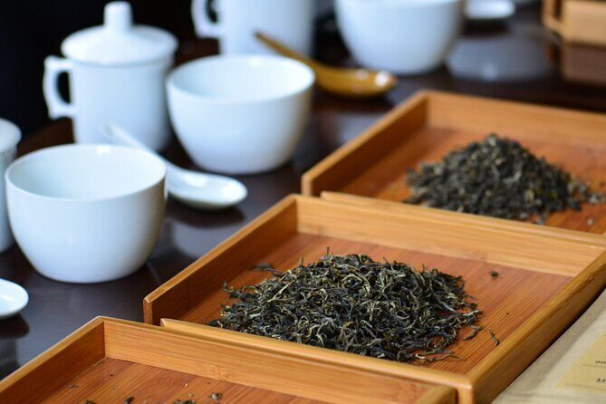 Private Heritage Tea Trail for Aroma and Taste with Tradition - Day 1: Welcome to the Hills, The Makaibari Introduction
