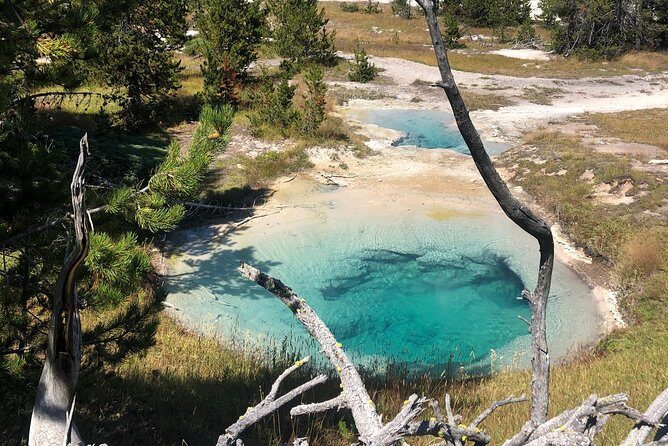 Private Hidden Gems of Yellowstone! Lunch w/ family friendly hikes included! - Key Points