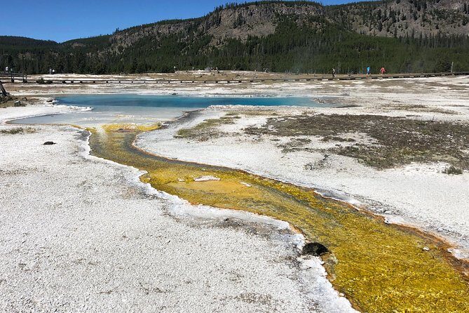Private Hidden Gems of Yellowstone! Lunch w/ family friendly hikes included! - Who Should Consider This Tour?