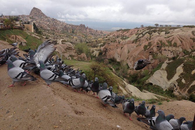 Private Highlights of Cappadocia Tour with lunch - Meal and Logistics
